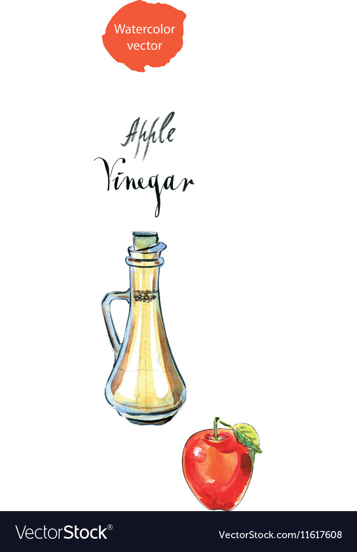 Vinegar Royalty Free Vector Image - VectorStock