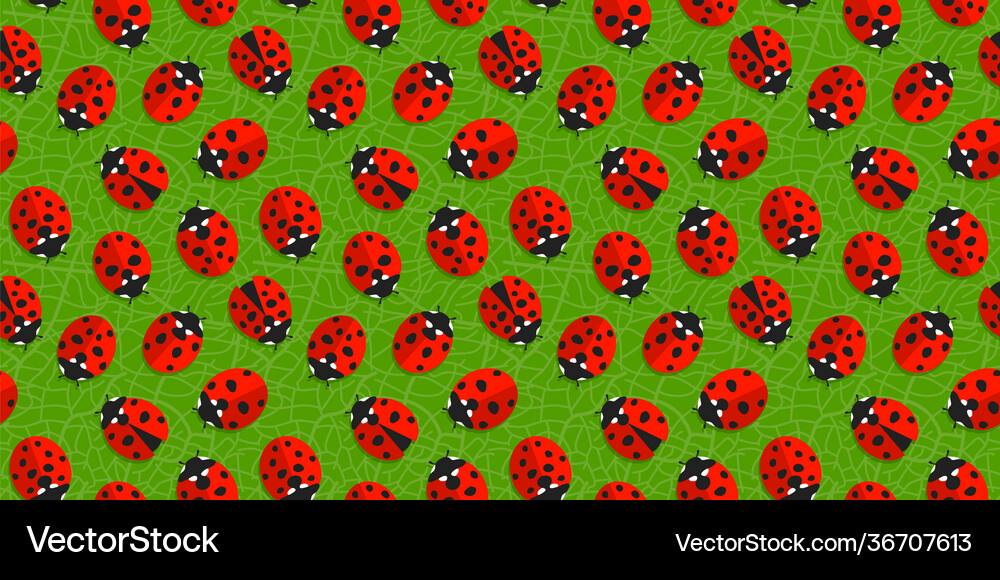 Spring or summer seamless pattern background Vector Image