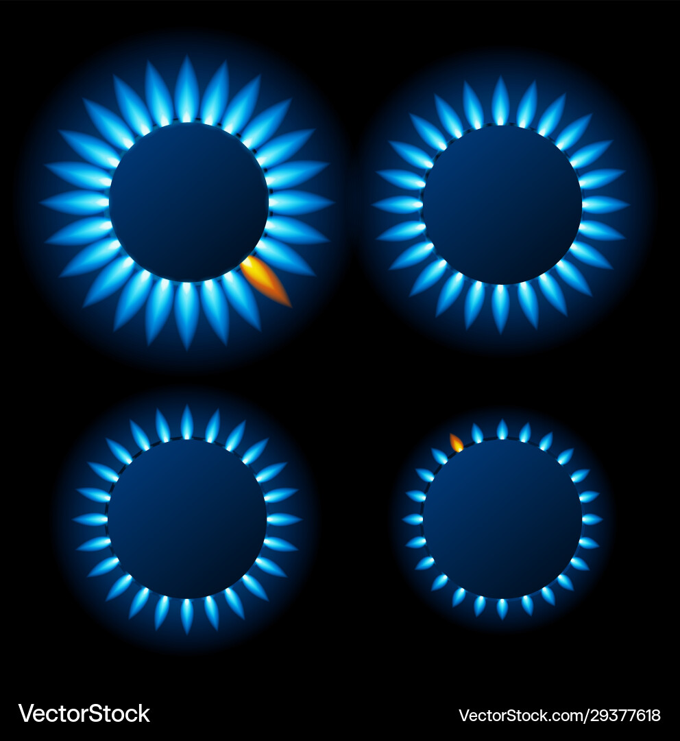 Realistic detailed 3d natural gas flame kitchen Vector Image