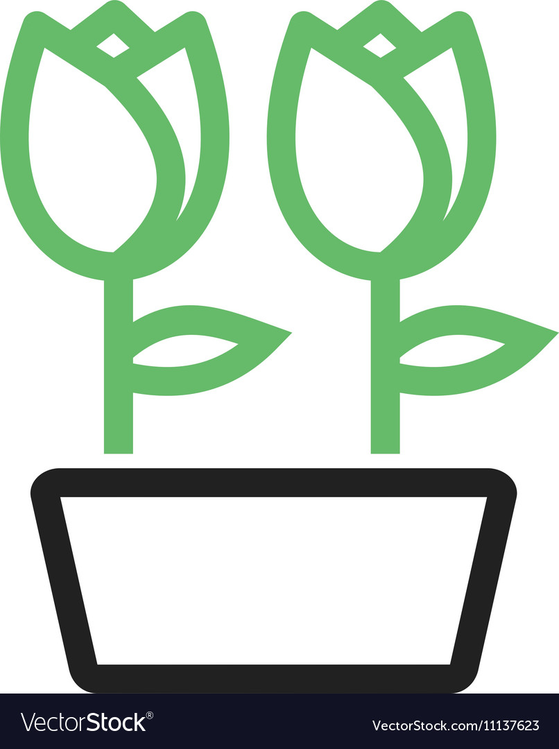 Tulips in pot Royalty Free Vector Image - VectorStock