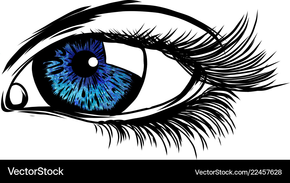 Beautiful women eyes with make Royalty Free Vector Image