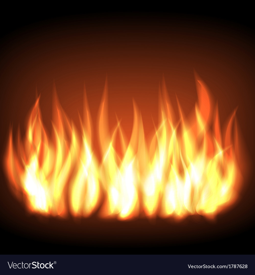 Burning fire flame Royalty Free Vector Image - VectorStock