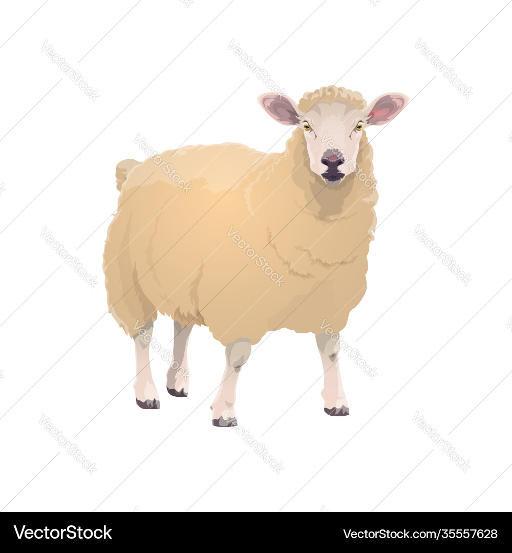 Lamb sheep farm animal icon cattle mutton Vector Image