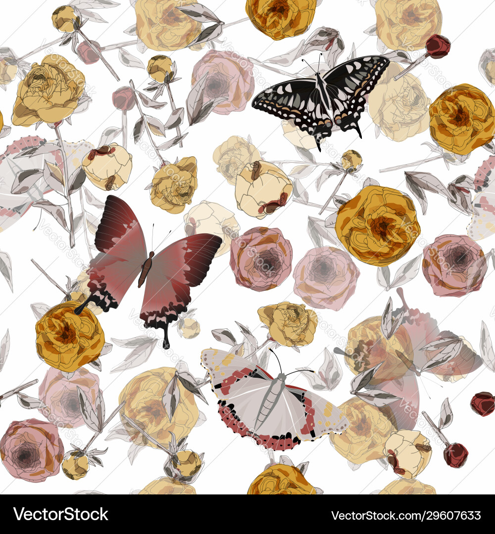 Butterfly and leaves stems inflorescences Vector Image