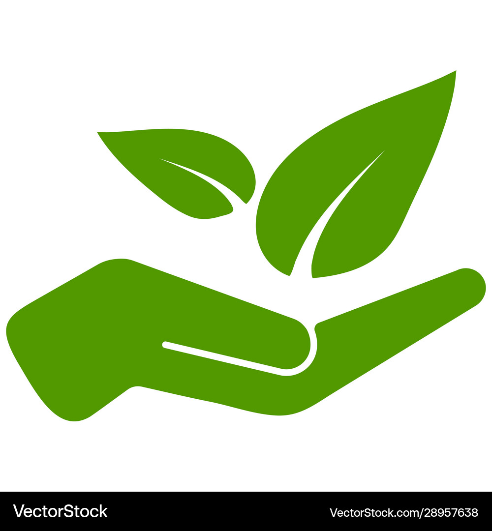 Hand holds green leaves Royalty Free Vector Image