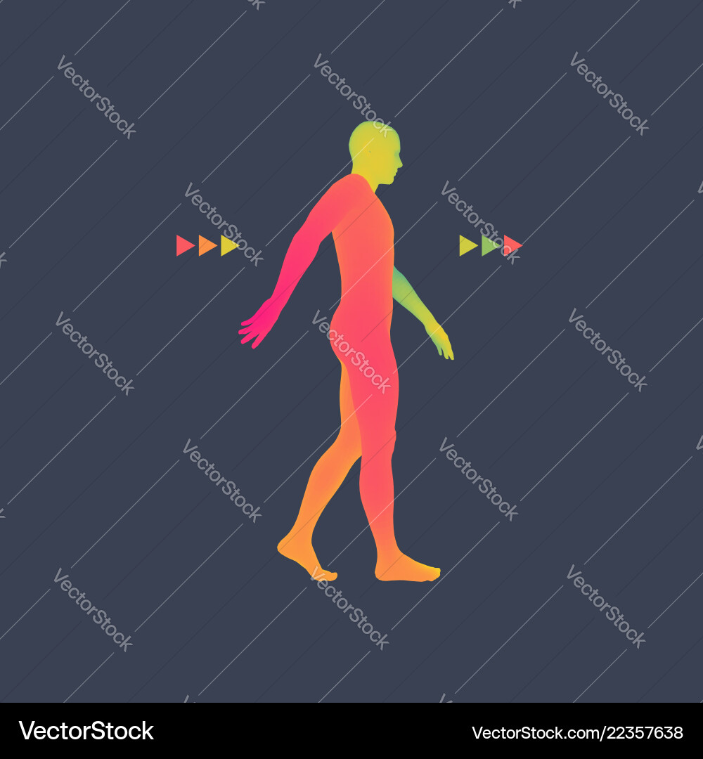 Walking man 3d human body model Royalty Free Vector Image
