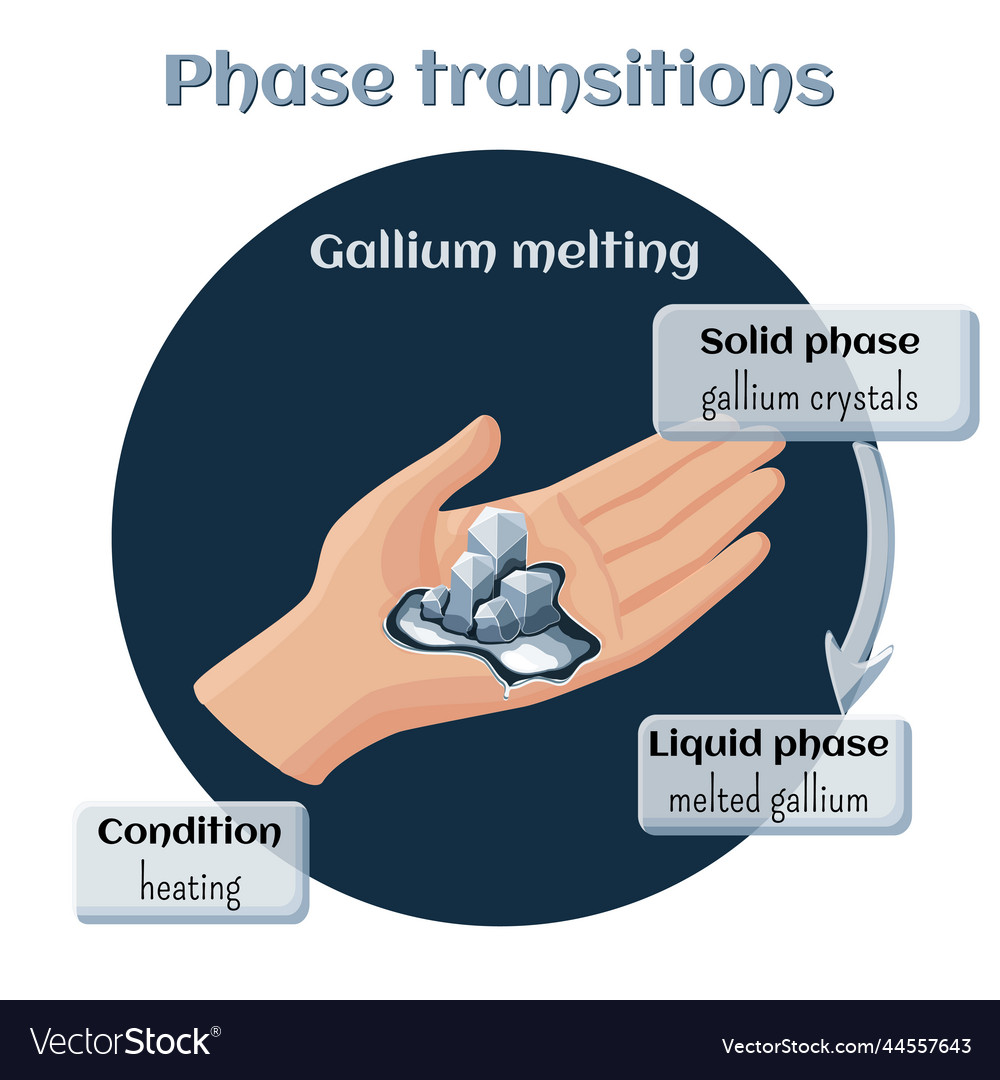 Gallium melting phase transition from solid Vector Image