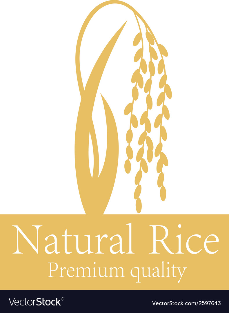 Rice Royalty Free Vector Image - VectorStock