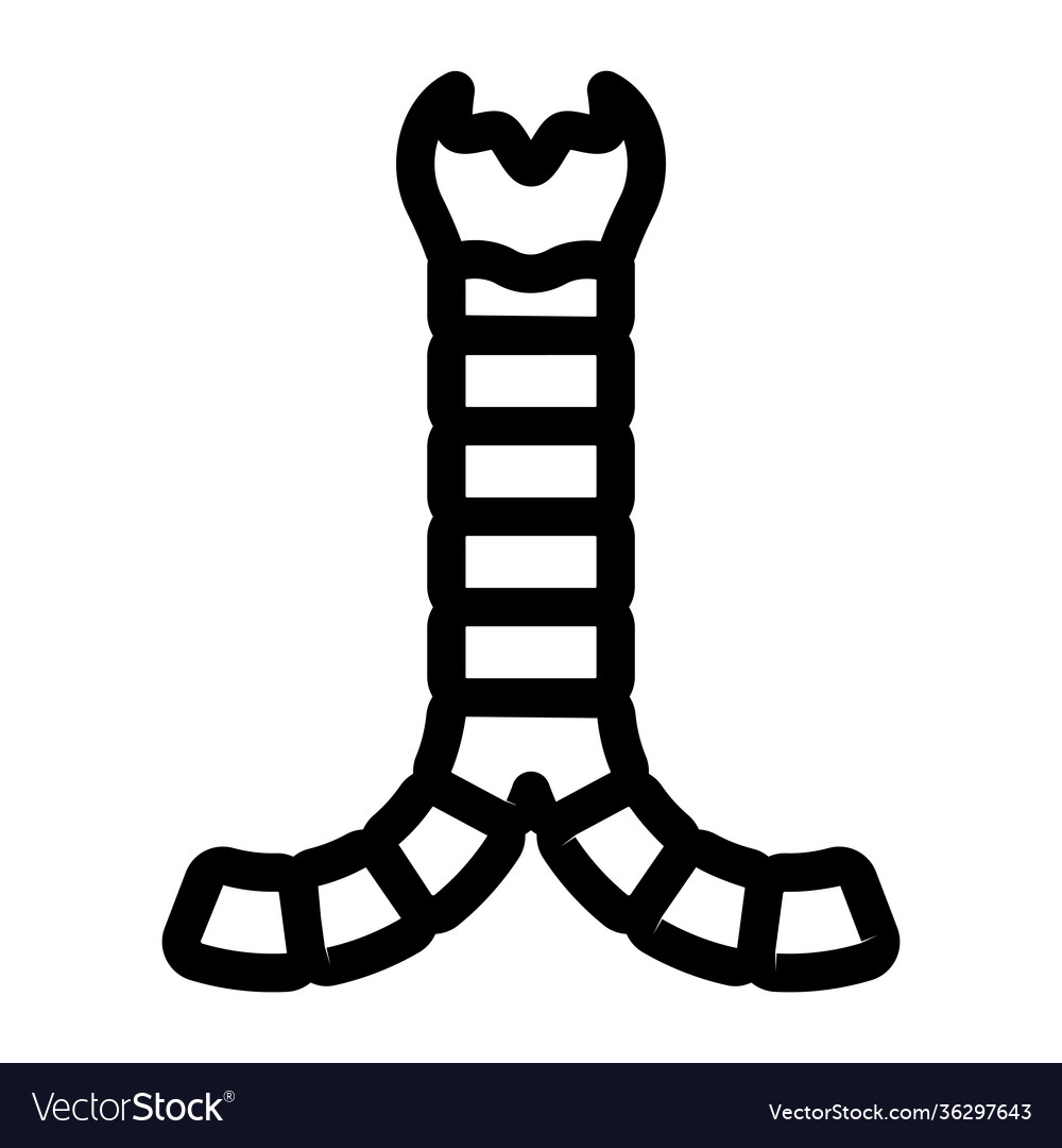 Windpipe Royalty Free Vector Image - VectorStock