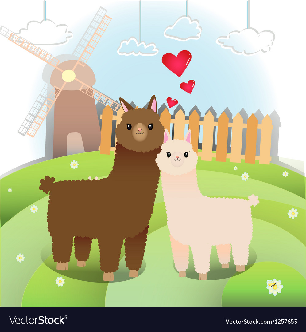 Alpacas couple Royalty Free Vector Image - VectorStock