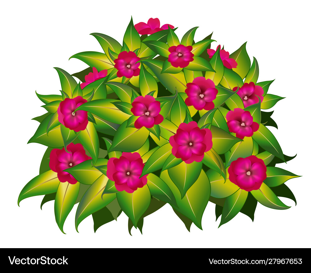 Beautiful violet flower cartoon Royalty Free Vector Image