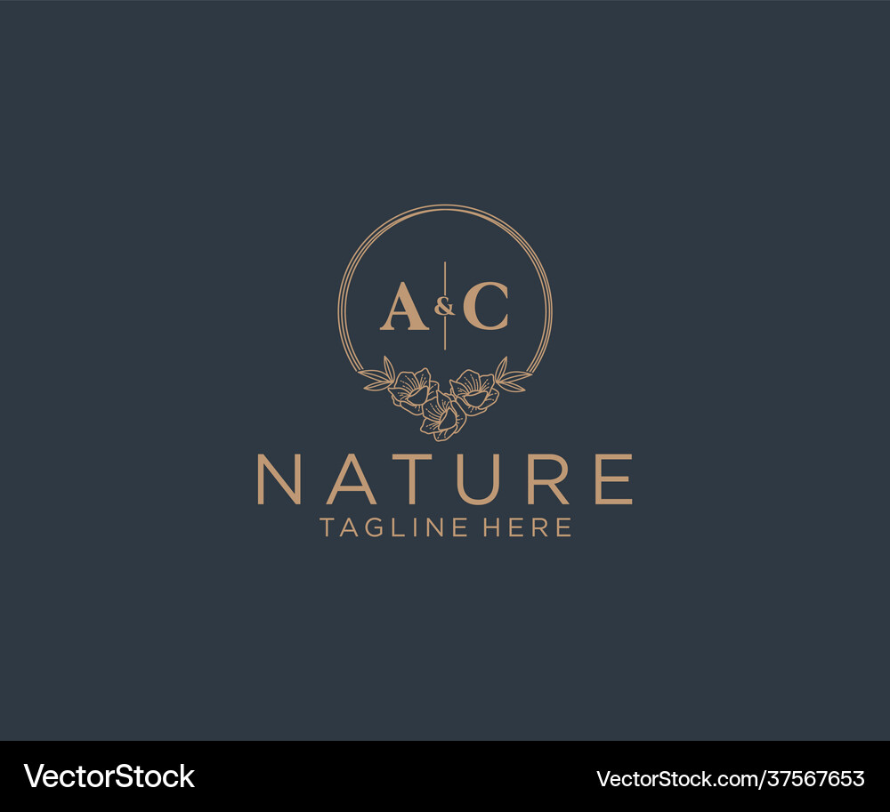 Initial ac letters floral frames botanical Vector Image