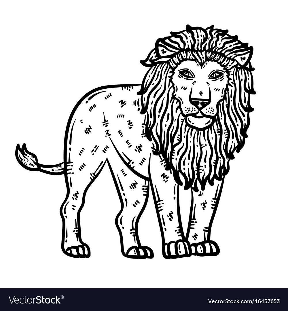 Lion animal coloring page for adult Royalty Free Vector