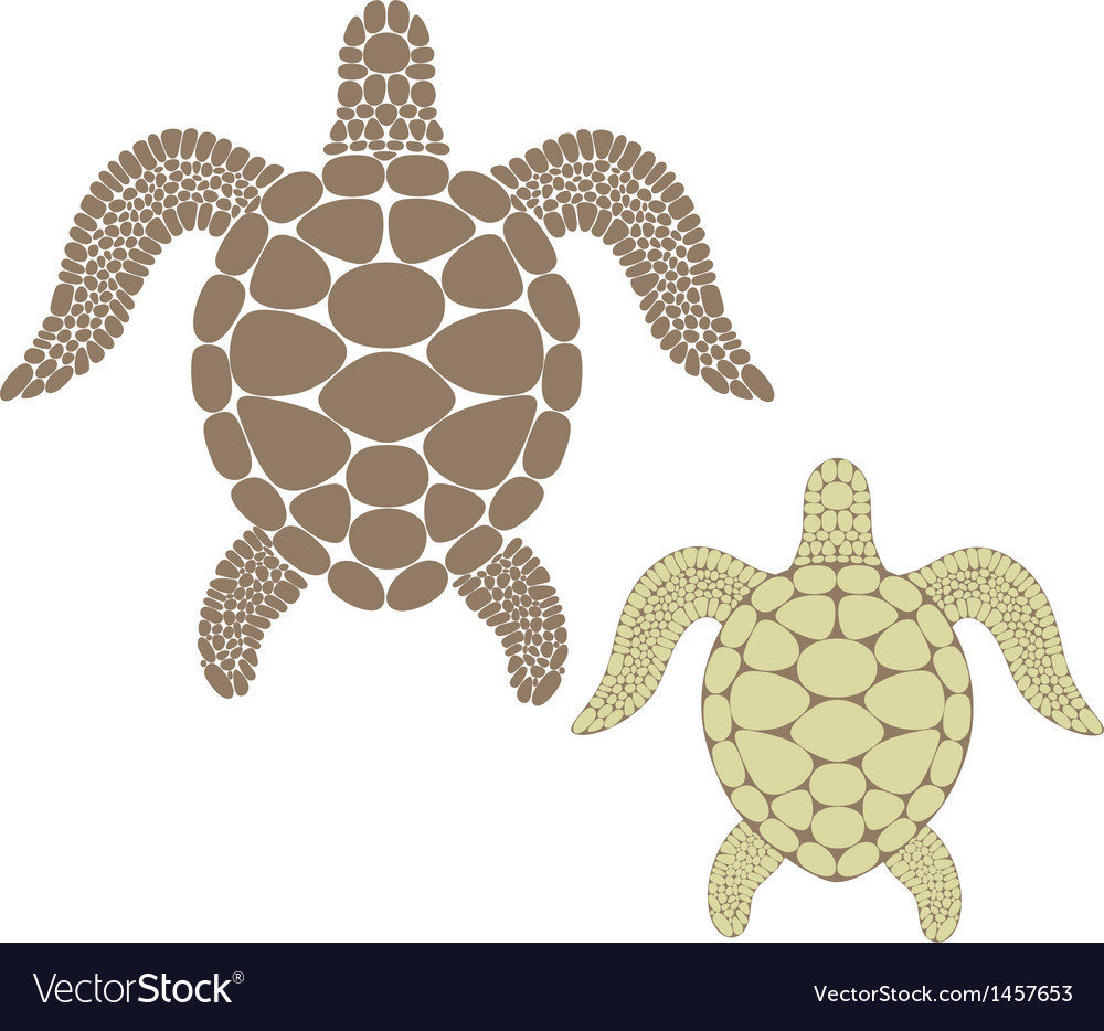Turtle Royalty Free Vector Image - VectorStock