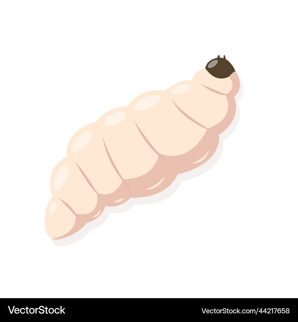 Maggot or larva isolated on white background Vector Image