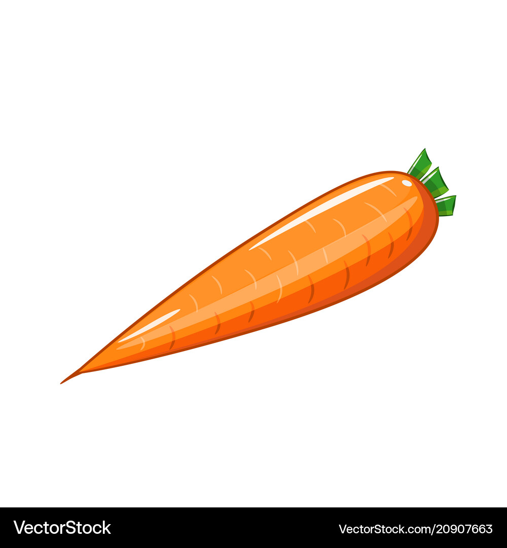 Fresh orange carrot icon isolated on white Vector Image