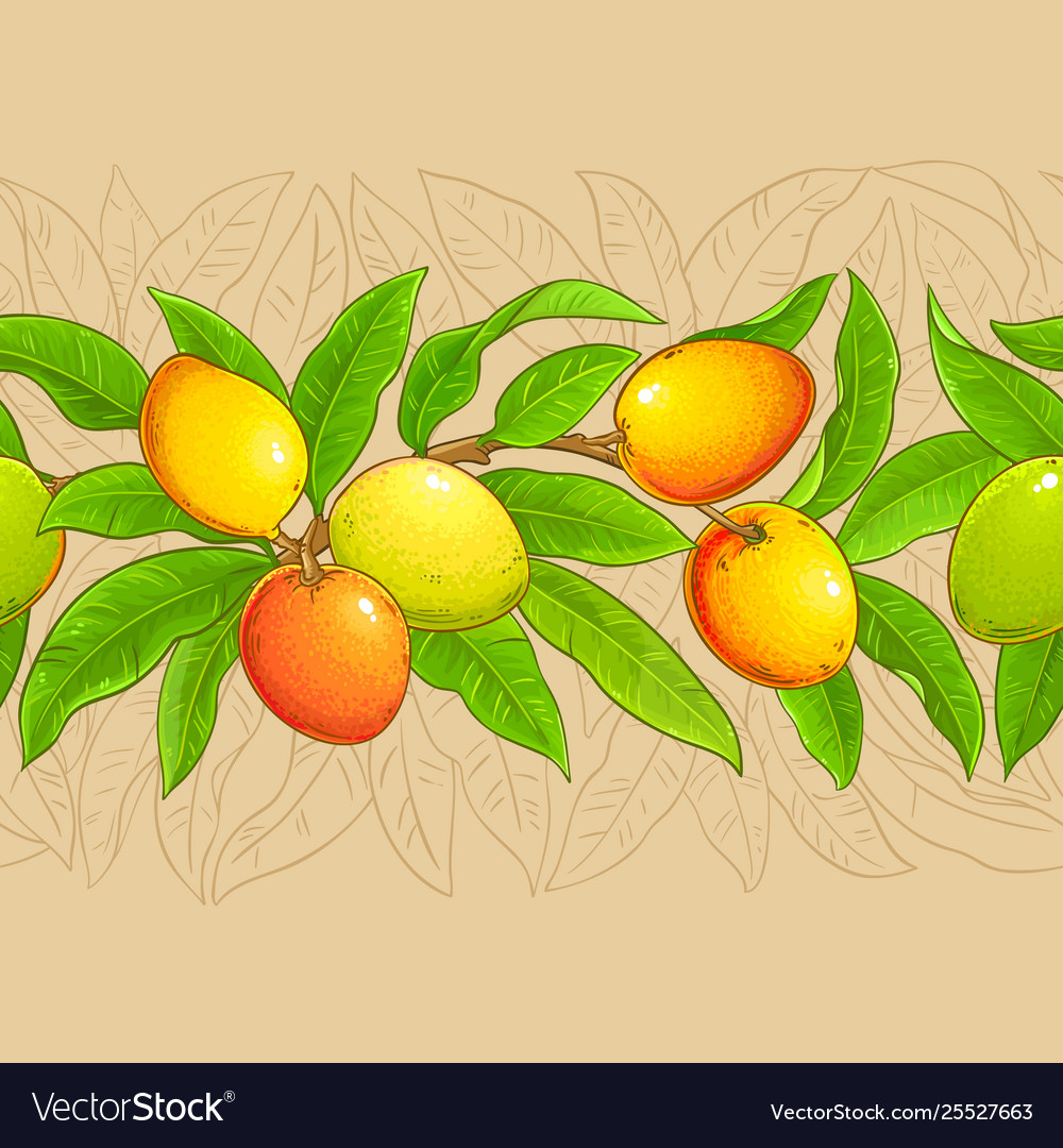 Mango branches pattern on color background Vector Image