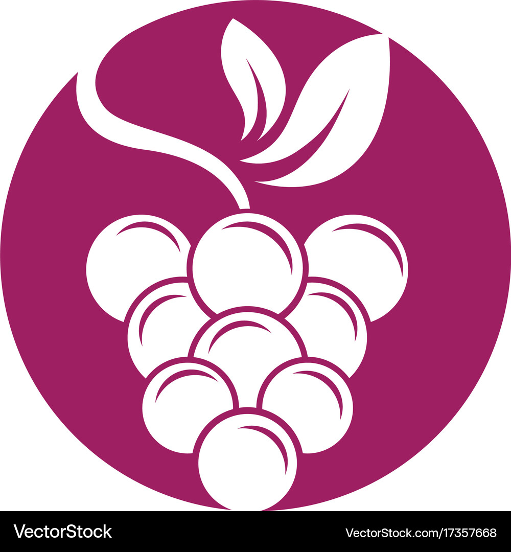 Bunch wine grapes with leaf icon for food apps Vector Image
