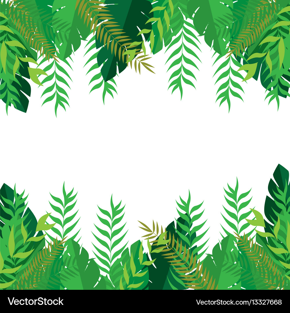 Frame with green leaves nature design Royalty Free Vector