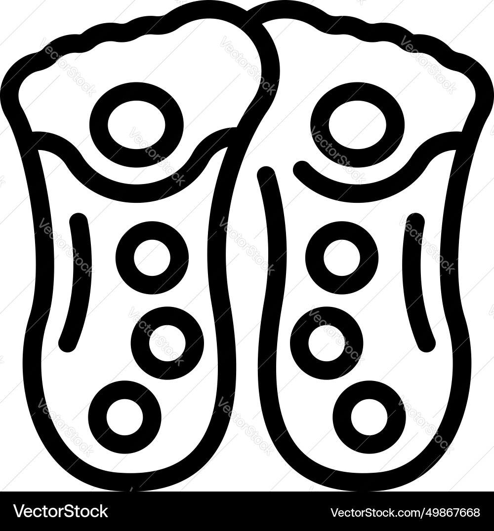 Textile insoles icon outline wear inserts Vector Image