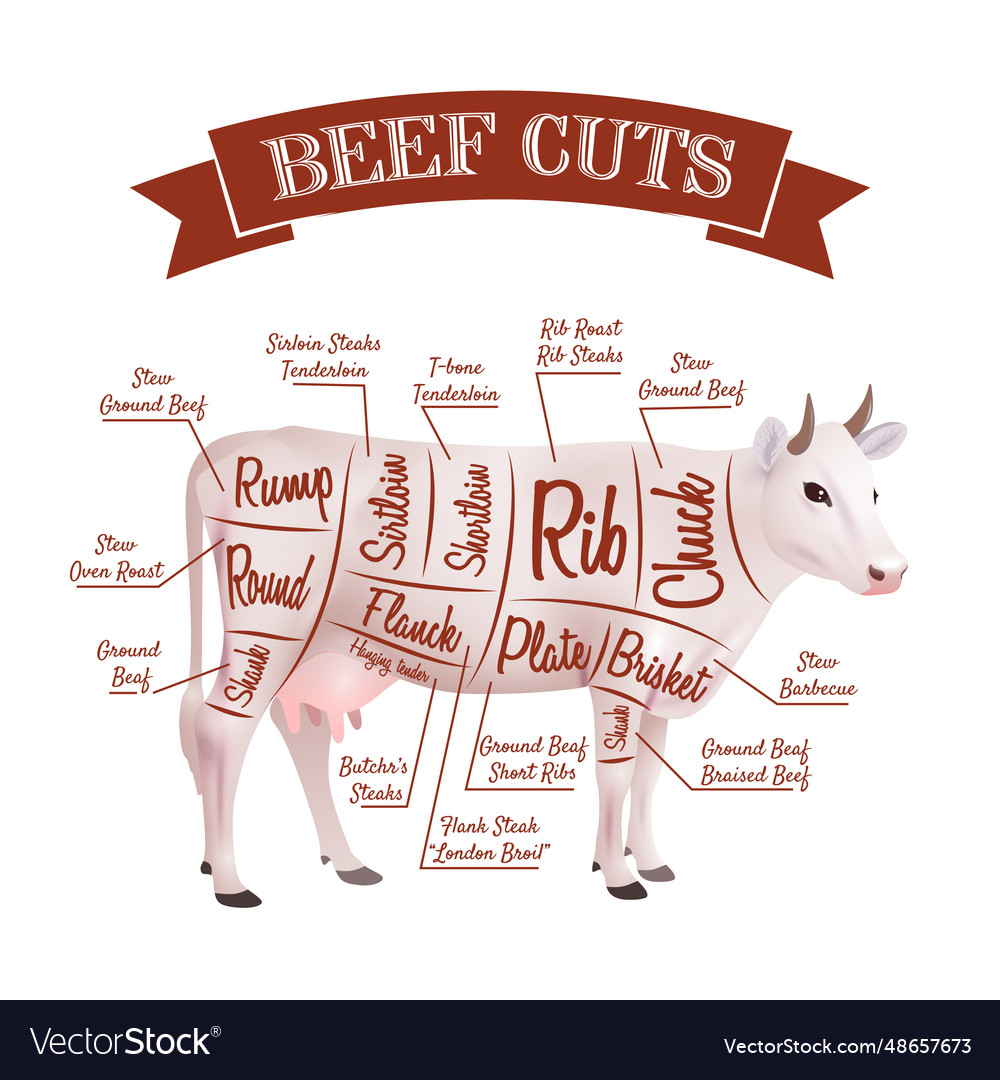 Beef cuts Royalty Free Vector Image - VectorStock
