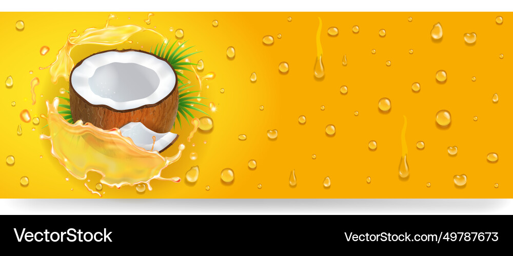 Coconut oil splash and nut banner Royalty Free Vector Image