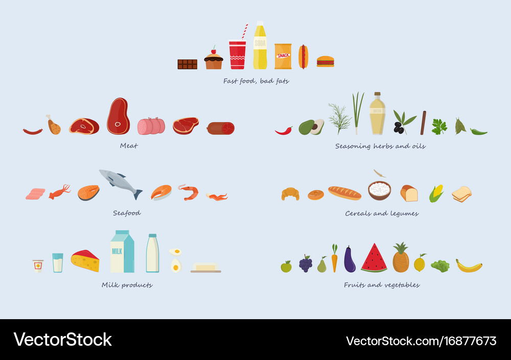 Different food groups meat seafood cereals Vector Image