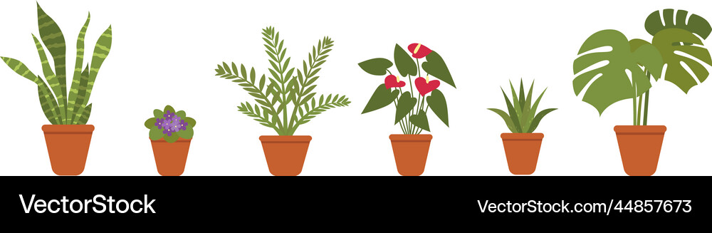 Indoor flowers and plants set Royalty Free Vector Image
