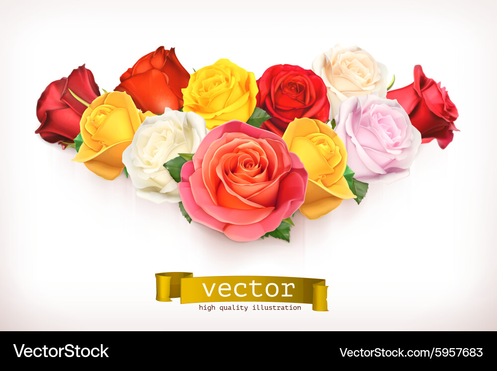 Bouquet of roses Royalty Free Vector Image - VectorStock