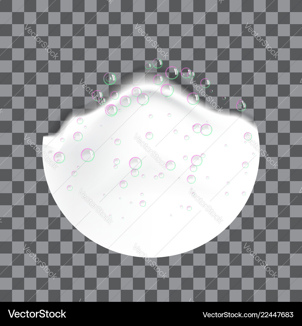 Bubble foam icon realistic style Royalty Free Vector Image