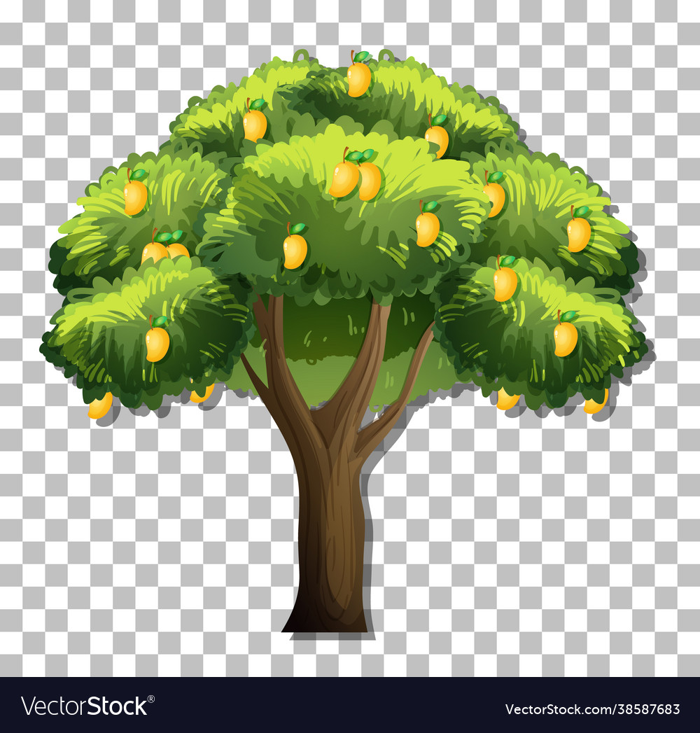 Mango tree on transparent background Royalty Free Vector