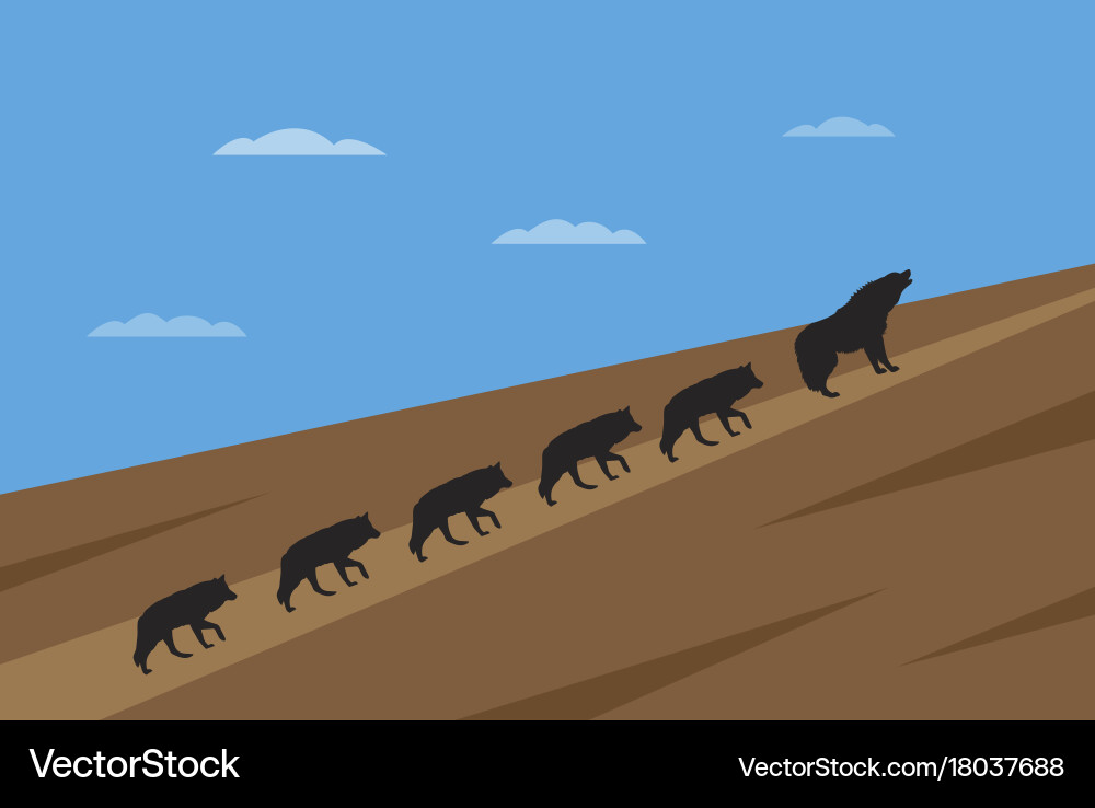 Pack of wolfes leadership concept Royalty Free Vector Image