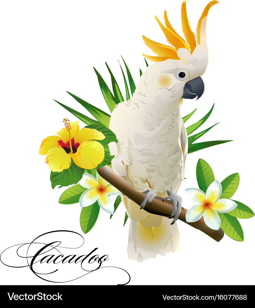 Parrot cockatoo on the tropical branches Vector Image