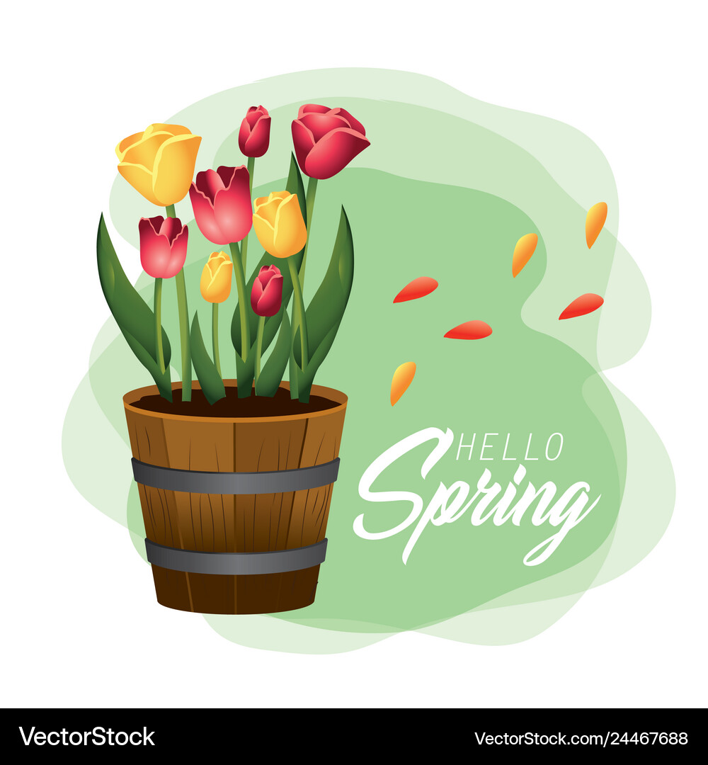 Spring beautiful roses plants with leaves Vector Image