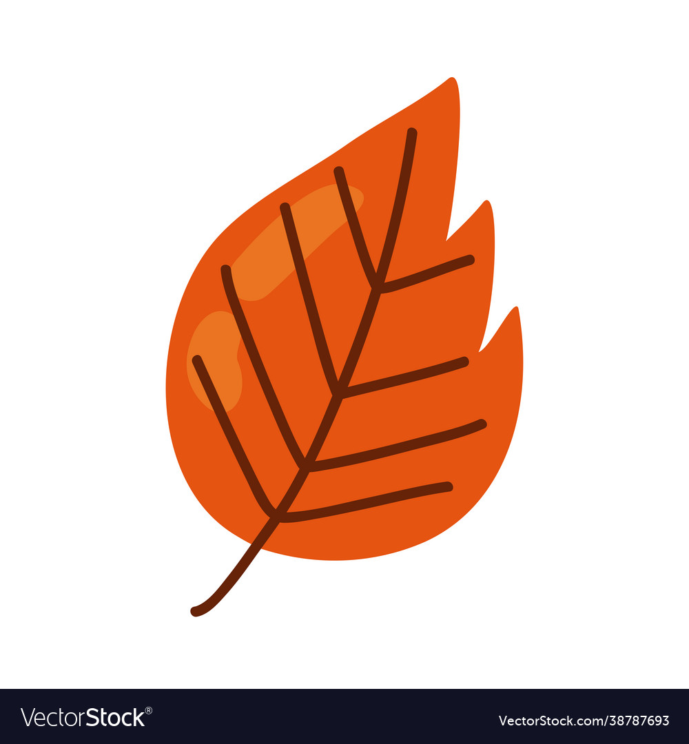 Leaf orange autumn Royalty Free Vector Image - VectorStock Leaf orange autumn Royalty Free Vector Image - VectorStock