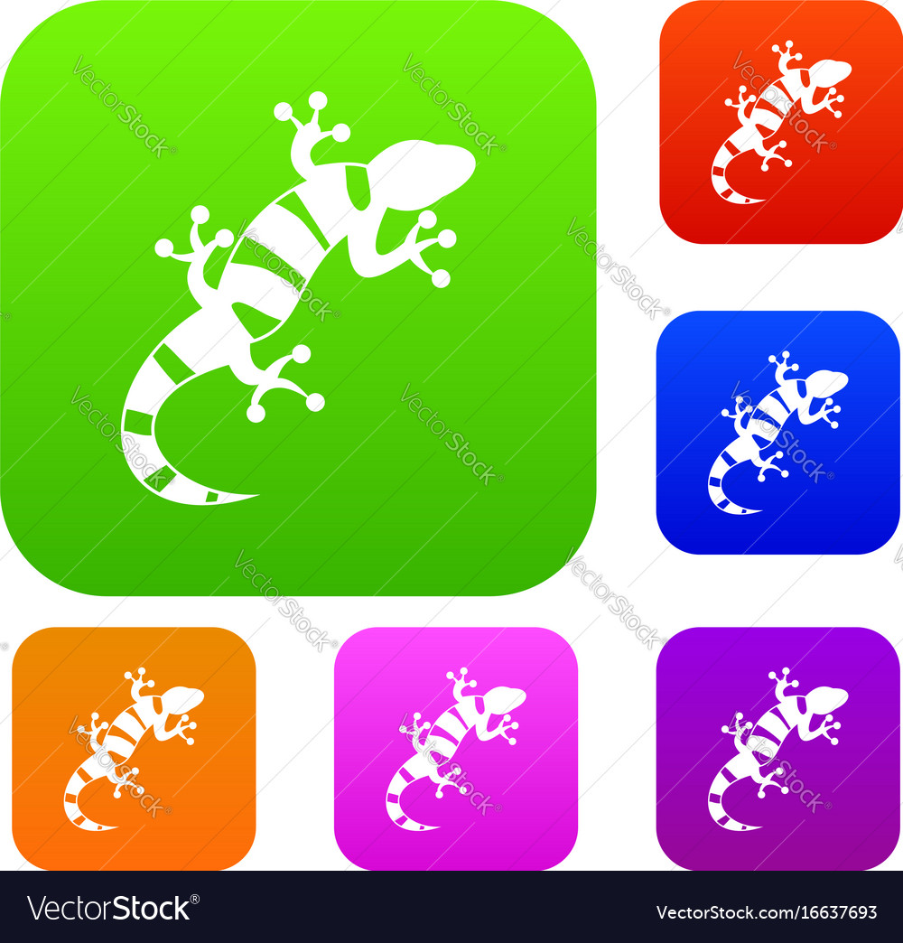 Lizard set collection Royalty Free Vector Image