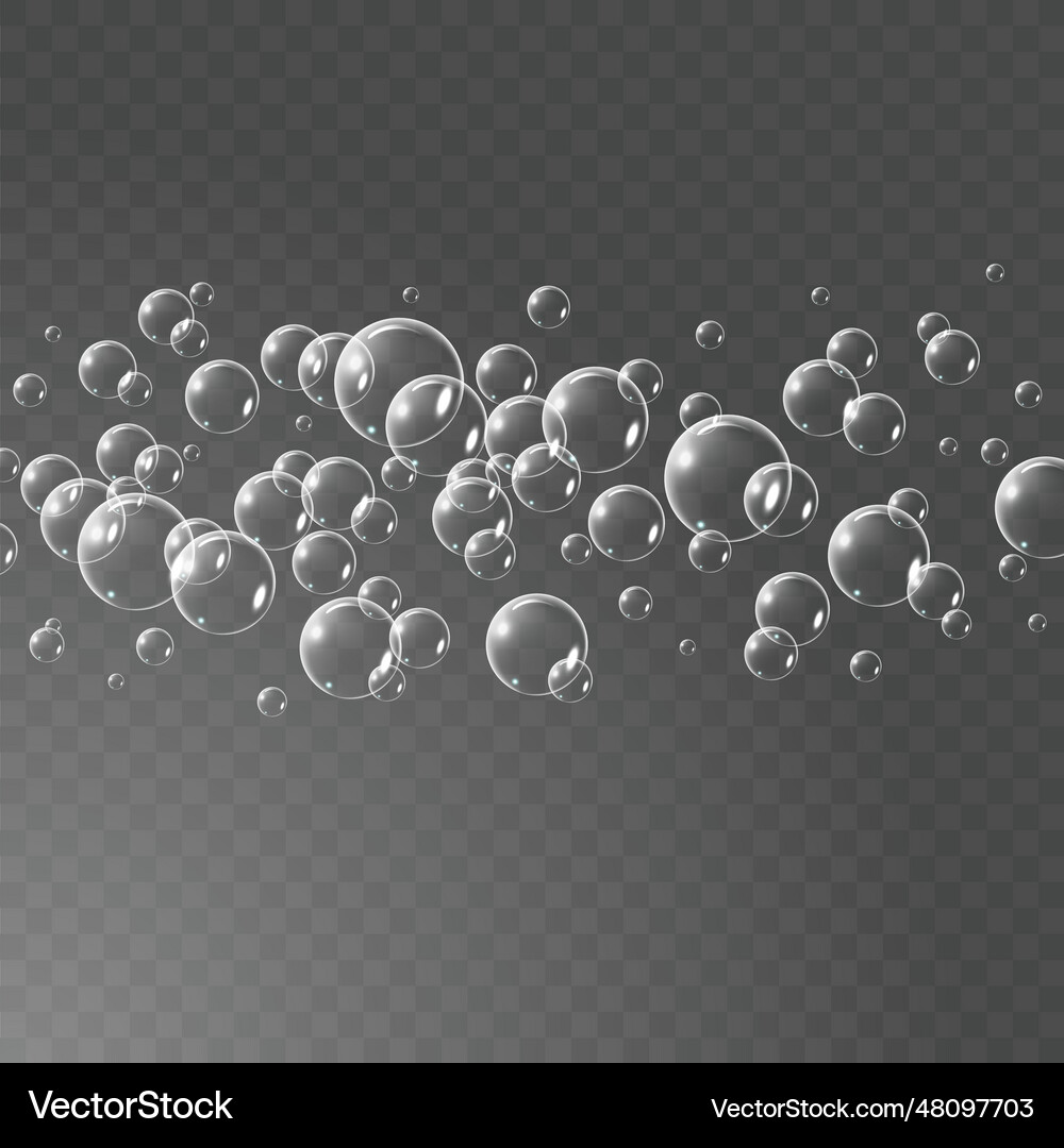Soap bubbles background set of clean water Vector Image