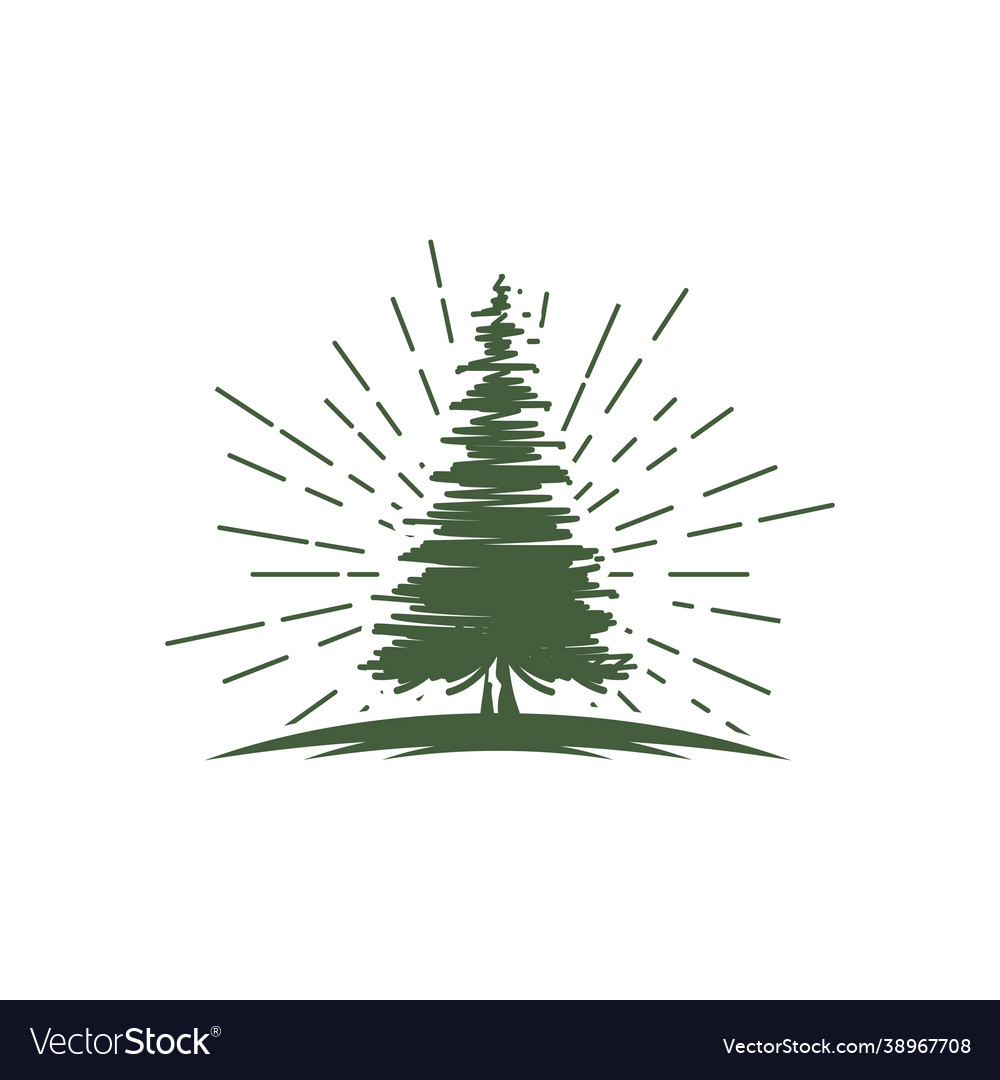 Cedar tree icon Royalty Free Vector Image - VectorStock