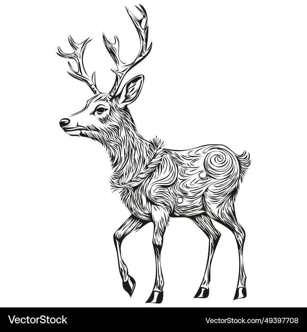 Christmas reindeer deer pencil drawing hand drawn Vector Image