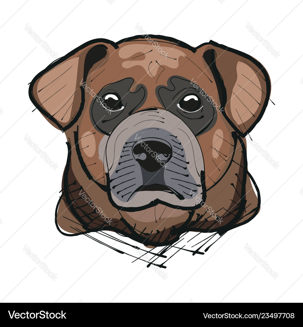 Labrador retriever head Royalty Free Vector Image