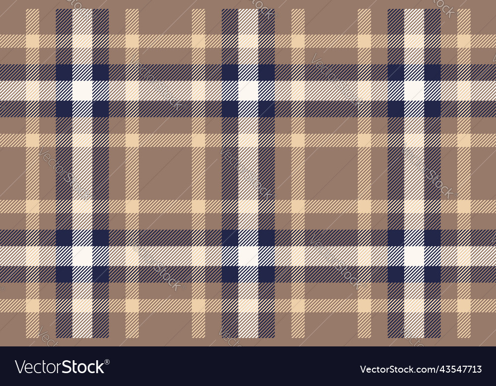 Plaid background check seamless pattern fabric Vector Image