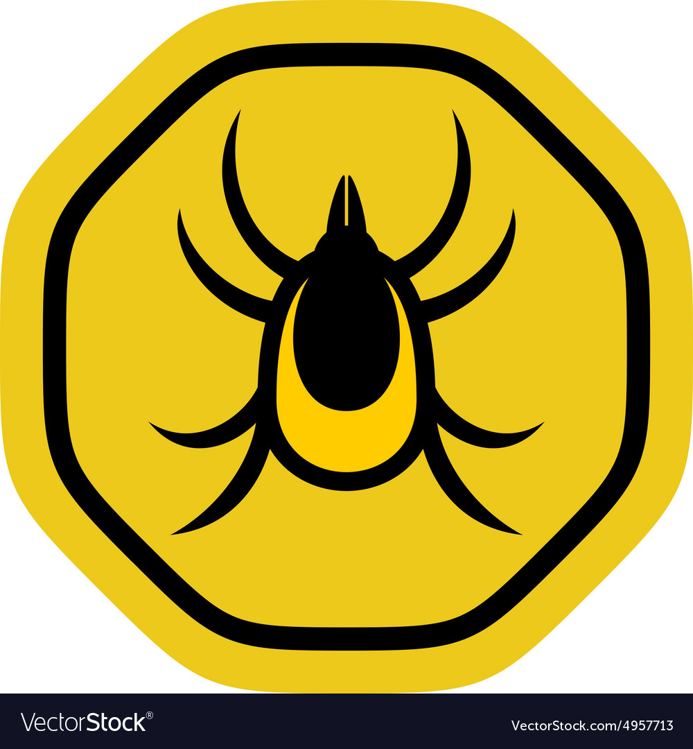Tick insect Royalty Free Vector Image - VectorStock