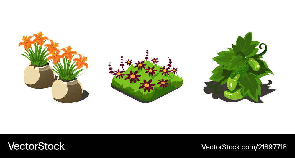 Garden plants flowers and vegetables game user Vector Image