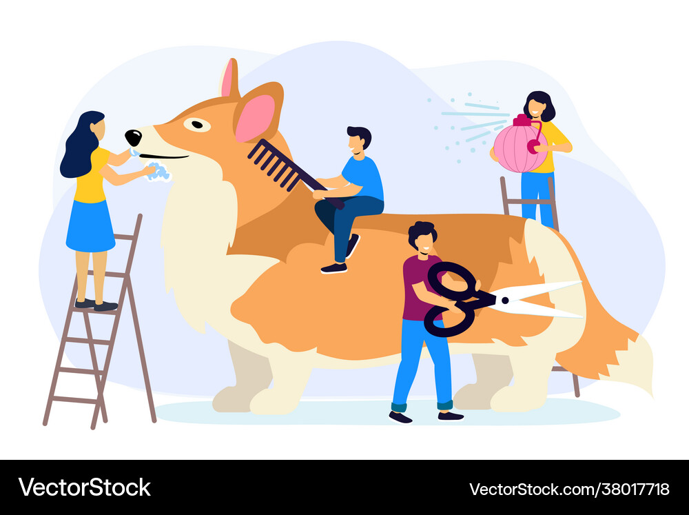 Professional groomer services Royalty Free Vector Image