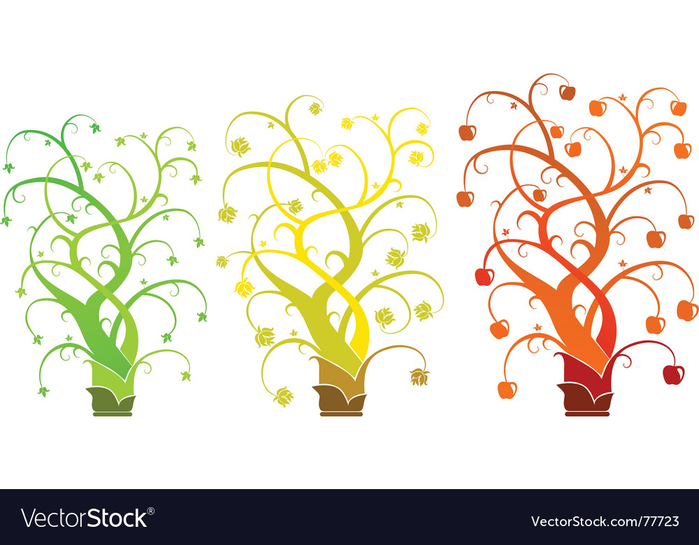 Abstract tree - set Royalty Free Vector Image - VectorStock