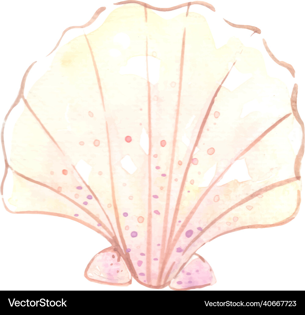 Sea shell watercolor for life Royalty Free Vector Image