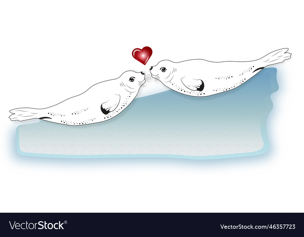 Seals Royalty Free Vector Image - VectorStock