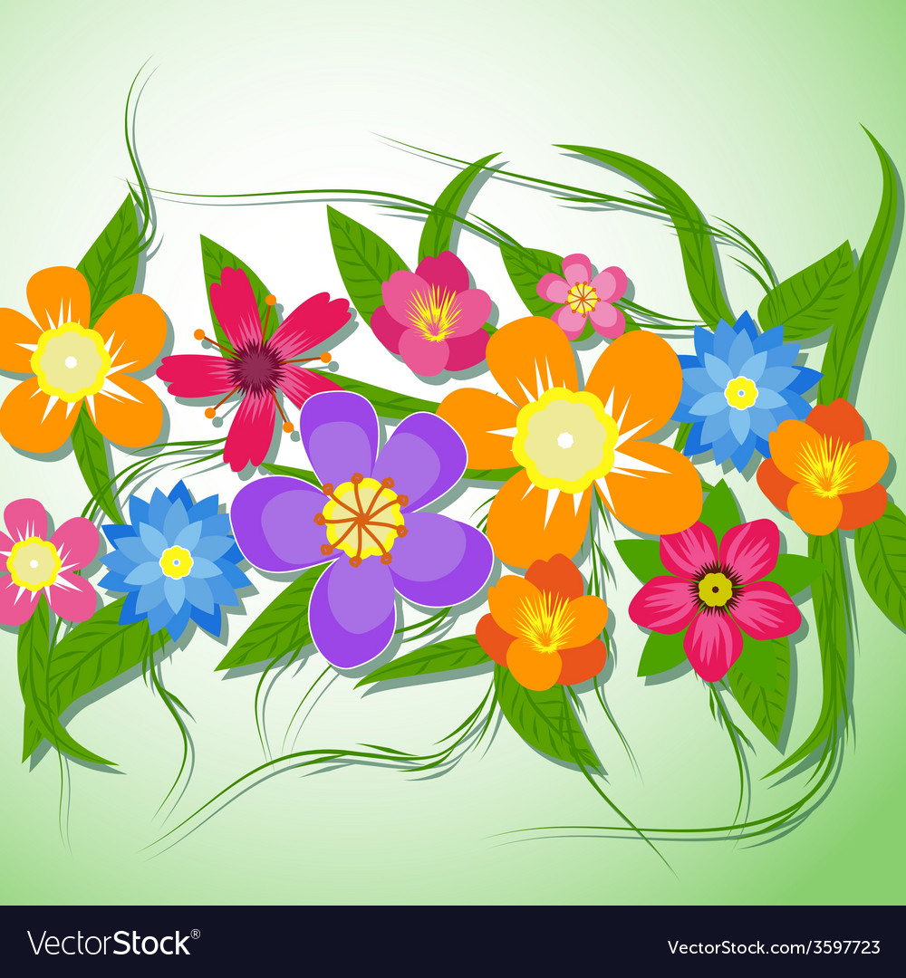 Spring flower background Royalty Free Vector Image