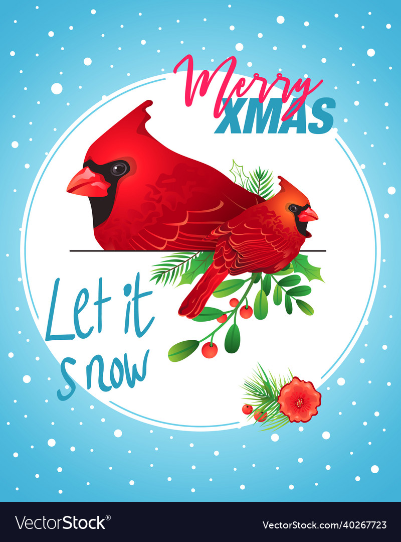 Winter bird Royalty Free Vector Image - VectorStock