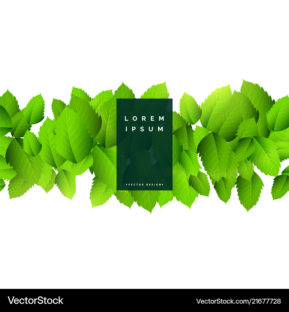 Abstract green leaves nature background Royalty Free Vector